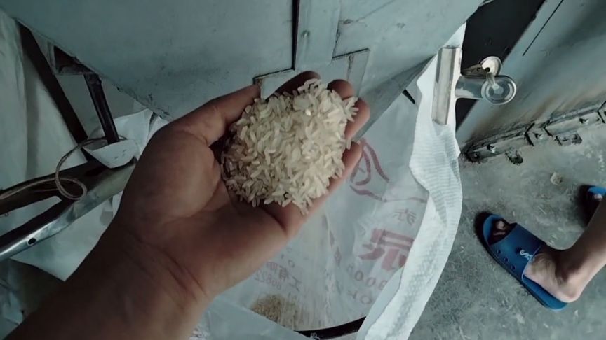 春种一粒粟秋收万颗子一颗颗大米是经过多少的工序和汗水才换来的