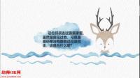 小班安全《我不跟你走》含微课视频PPT课件教案反思 幼师OK网