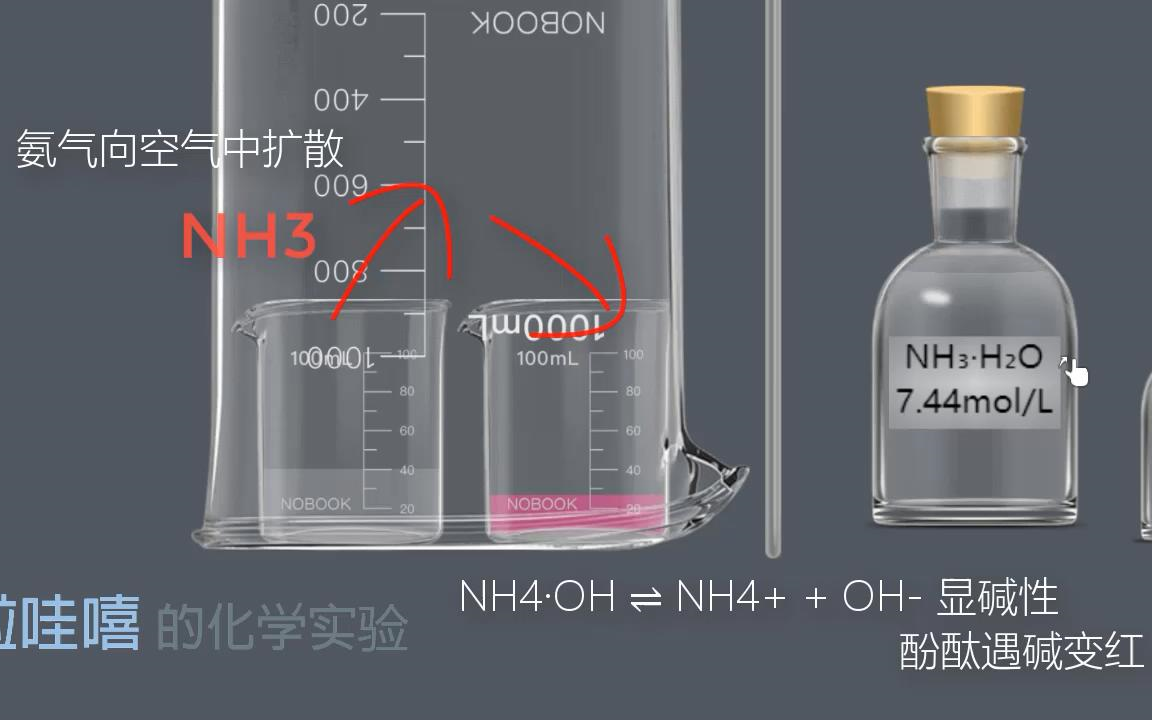 【初中实验】分子运动现象:氨气分子的扩散【九上3-探究1】