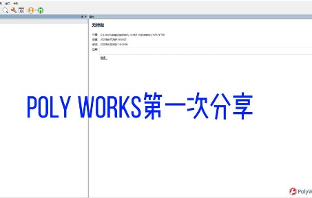 polyworks自我学习分享