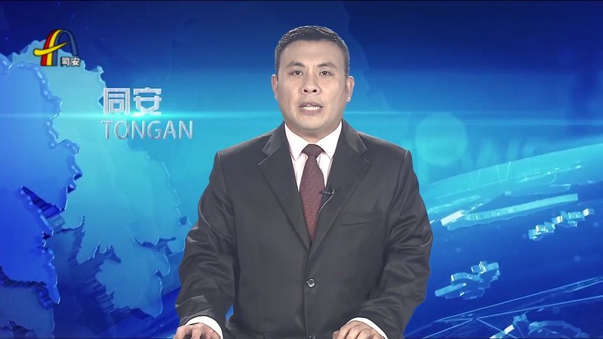 区人大代表分组审查政府工作报告