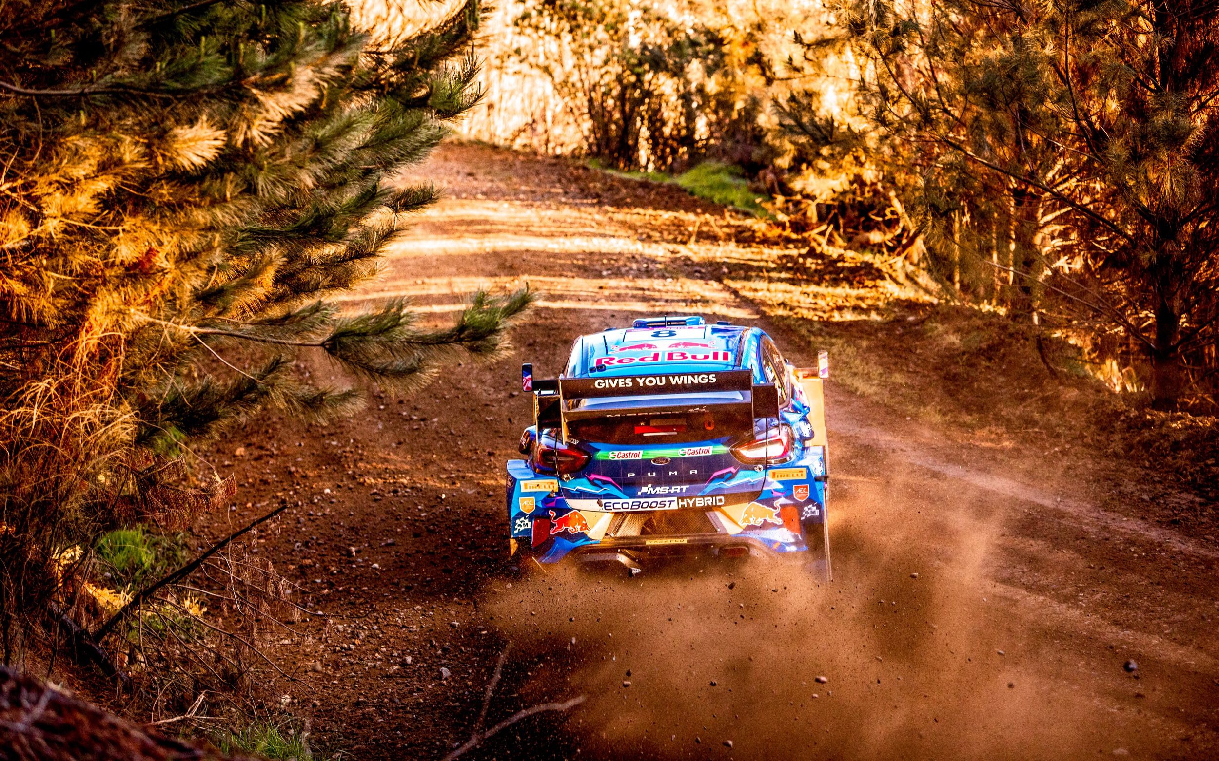 WRC 2023智利站周五精彩回顾[世界汽车拉力锦标赛]