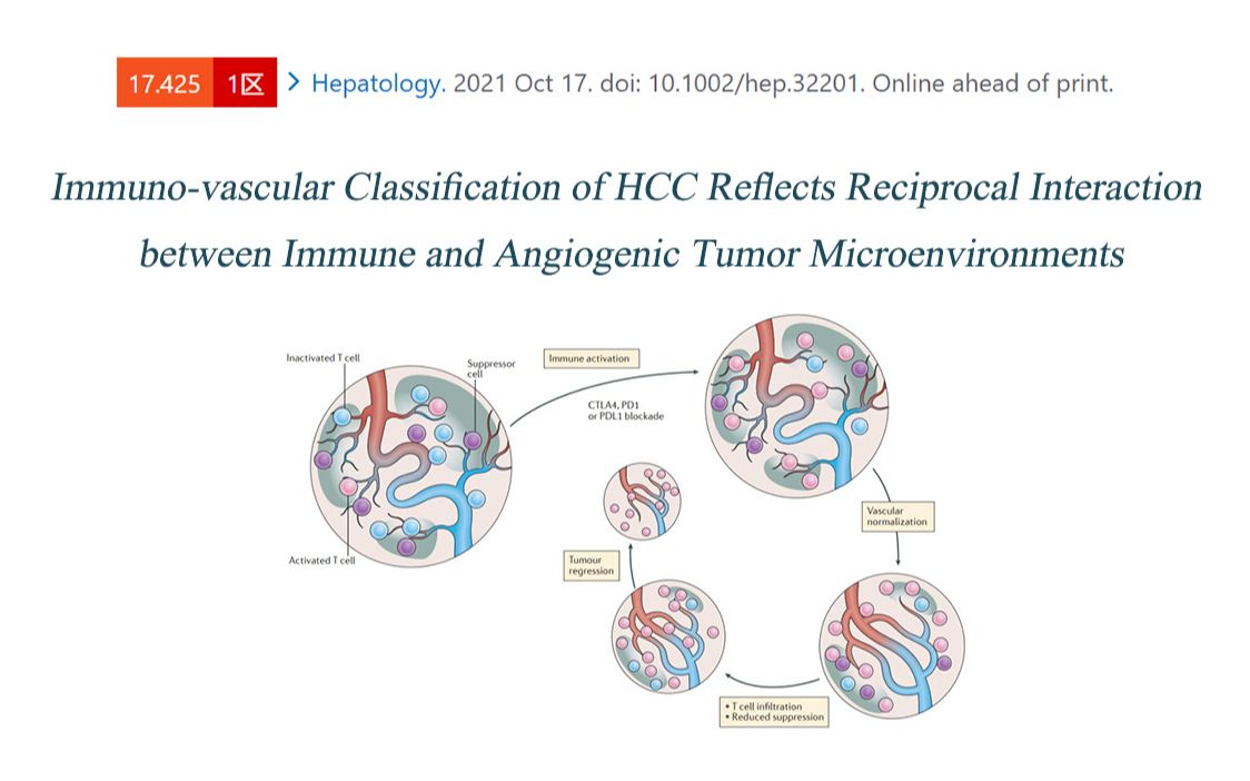 跟着Hepatology学习肝癌的免疫-血管分型