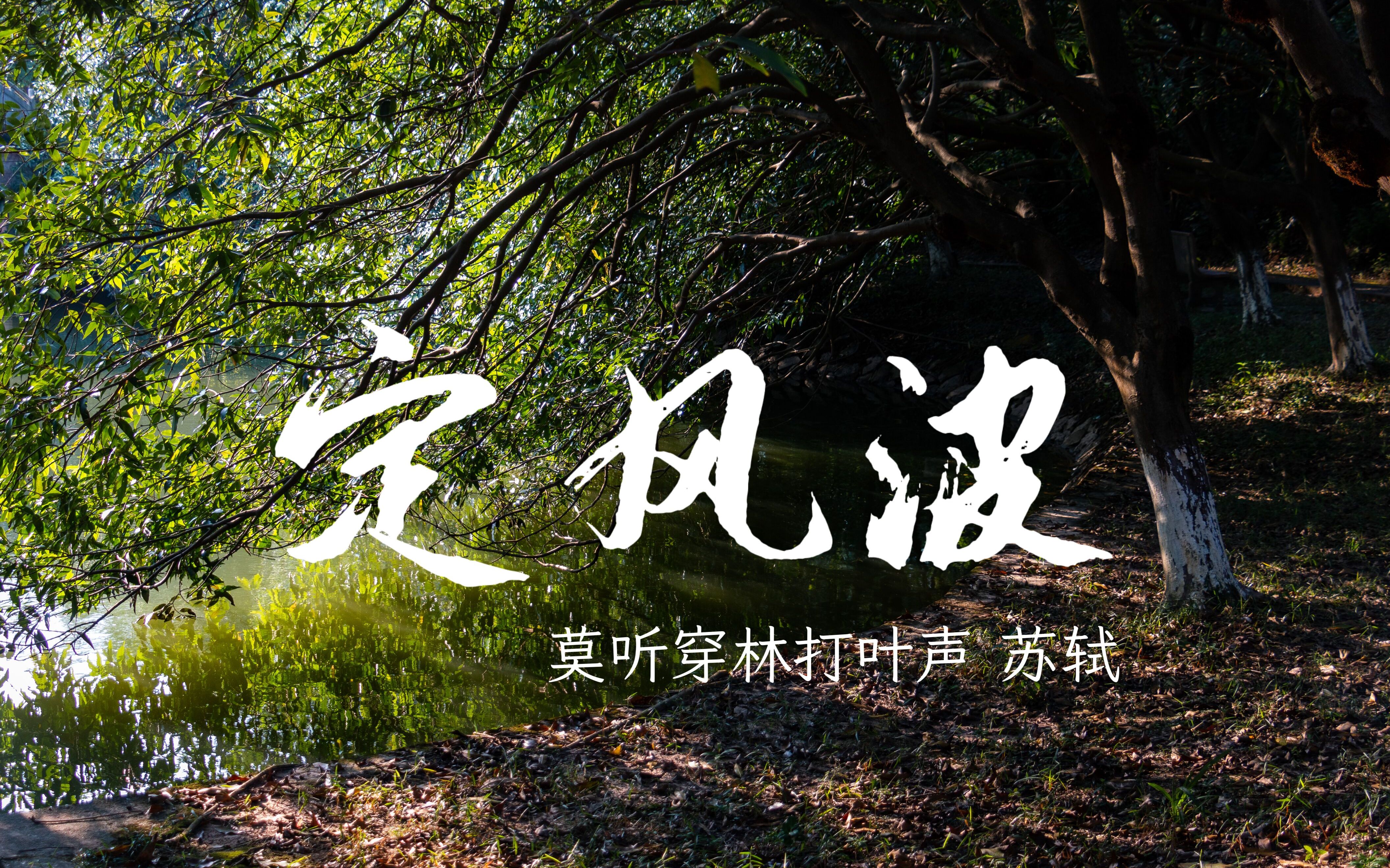 《定风波·莫听穿林打叶声》的朗诵配江门的秋风萧瑟