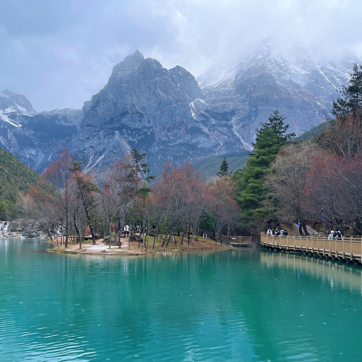 医思倍科研Alex林 