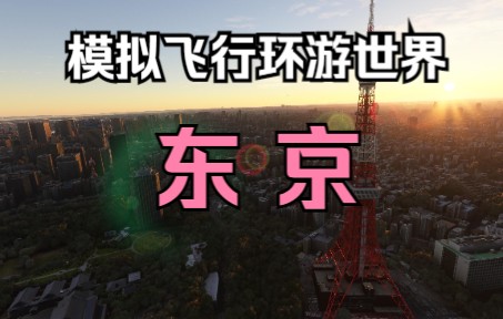 【模拟飞行环游世界】一起来东京远眺富士山?