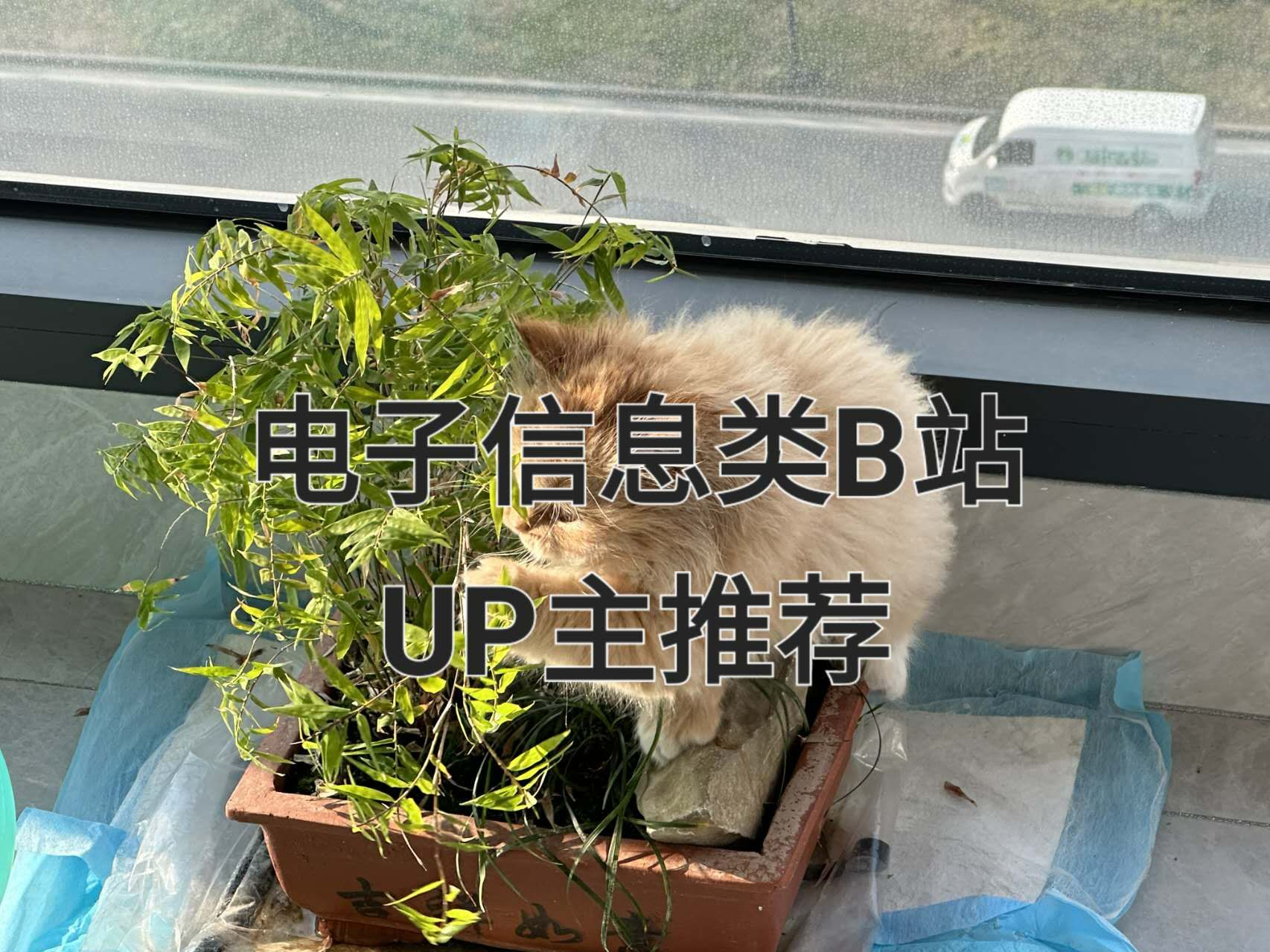 ...电子信息类相关的B站UP主推荐——关于专业知识和职业发展的UP主