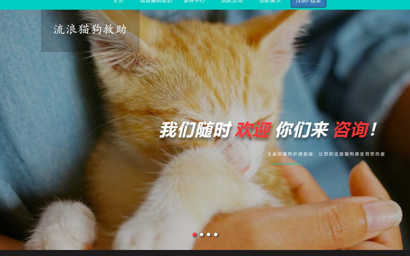 流浪猫狗救助系统