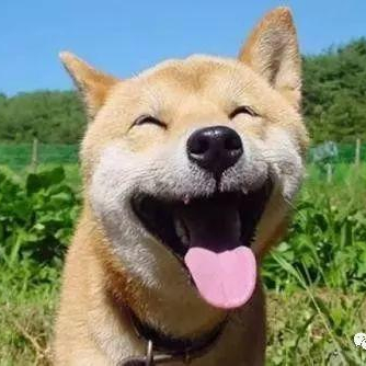 Jeff的小站 