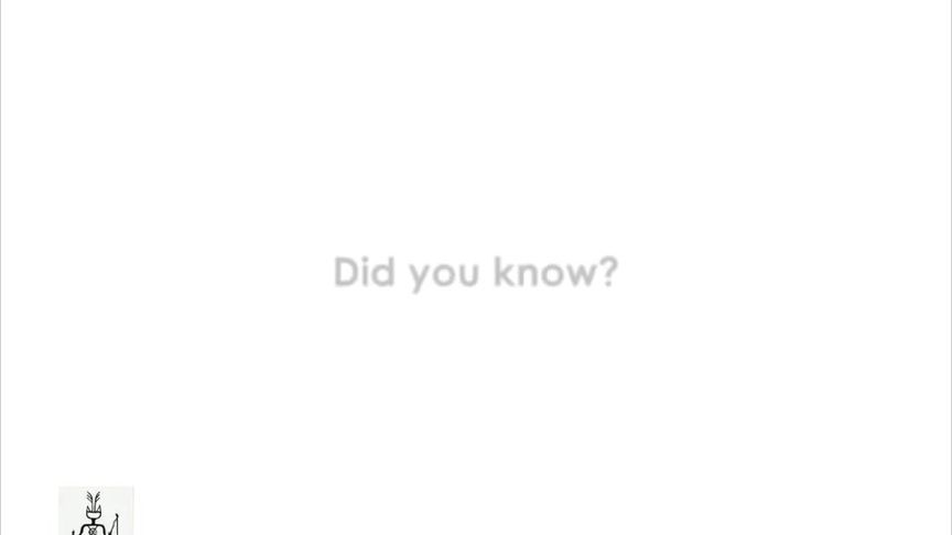 针灸到底能治什么?这个小动画来告诉你