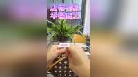 晴晴妈 鸡蛋筐 藤条编织diy教程