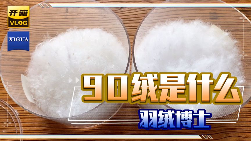 很少人知道!羽绒服的90绒到底是什么