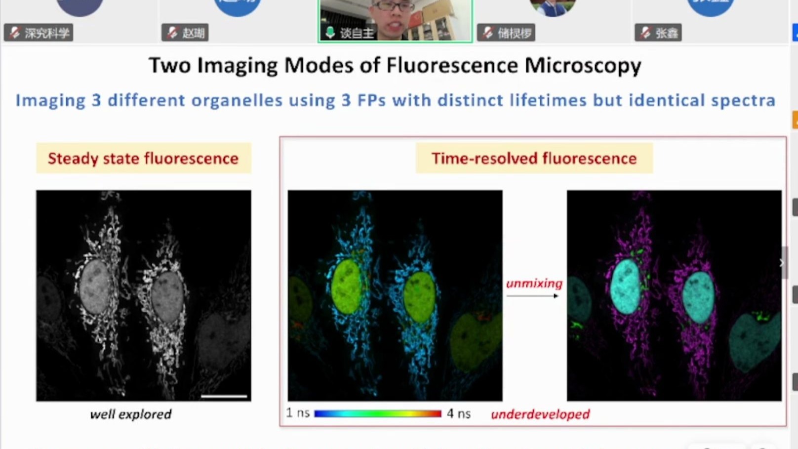 ...化学系谈自主-时间分辨荧光蛋白在时间和光谱维度拓展显微成像技术