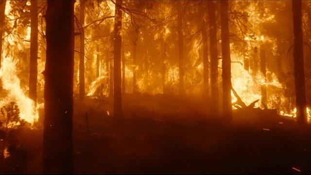 森林火灾太可怕了,19名消防员化为.