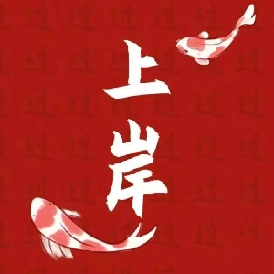 一次上岸2024 