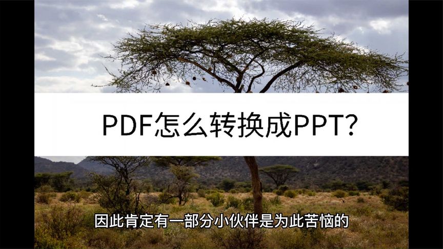 PDF怎么转换成PPT?答案在这里