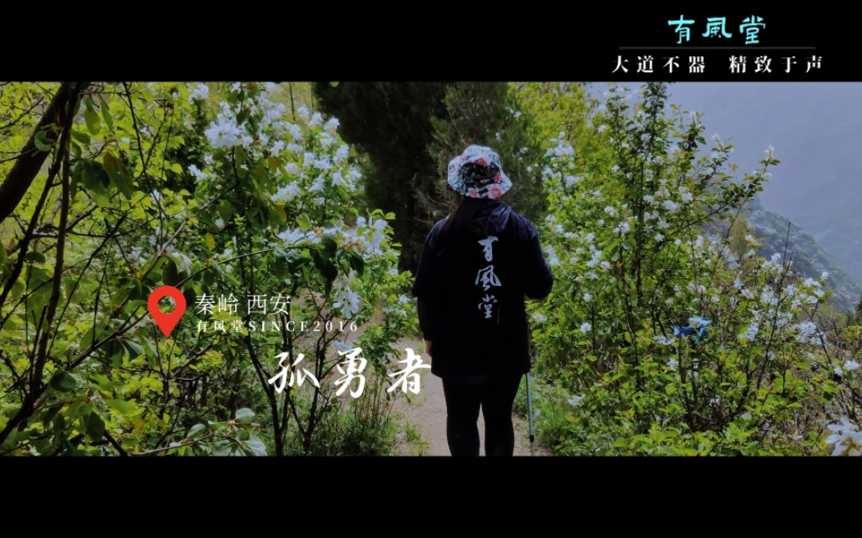 有风堂_孤勇者_埙_谁说对弈平凡的不算英雄_宇宙中最微小的光_超双...