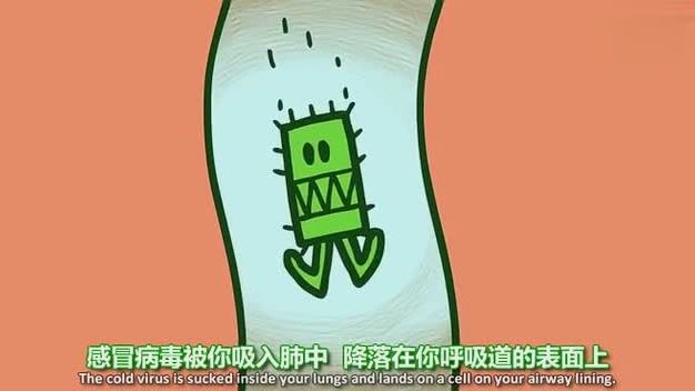 科普:动画演示细胞大战病毒过程