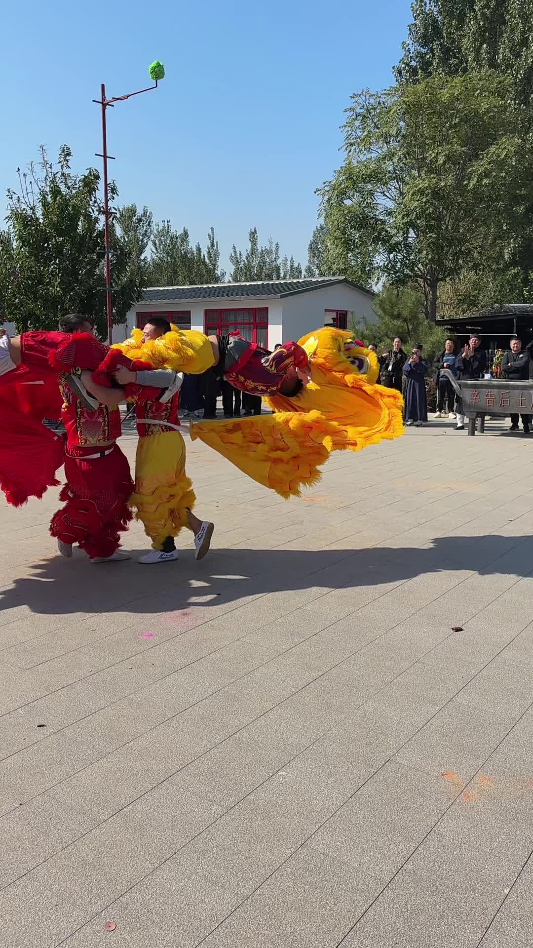 舞狮队的表演非常精彩ߑ