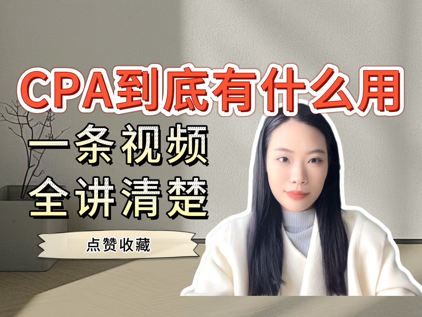 【注册会计师】回归现实CPA注册会计师到底有什么用,一个视频全说...