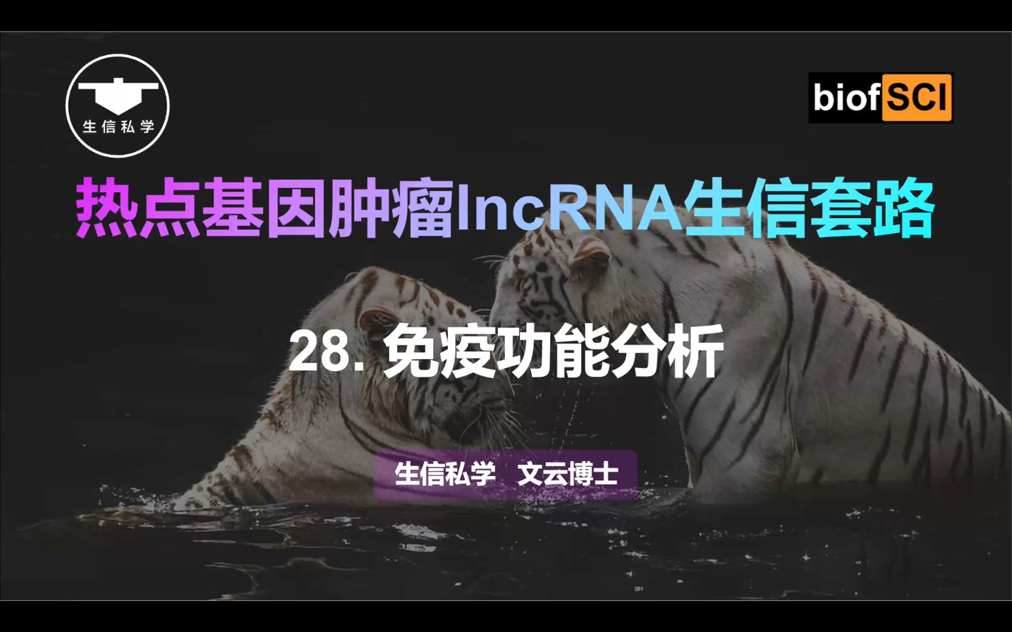 28.免疫功能分析【5分SCI热点基因肿瘤lncRNA生信套路】