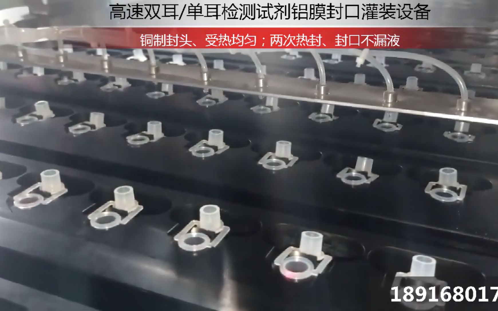 核酸检测试剂管铝箔封口机 连续铝箔封口机 试剂铝箔封口机 一次性采...