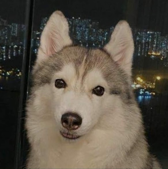 欧气发发 