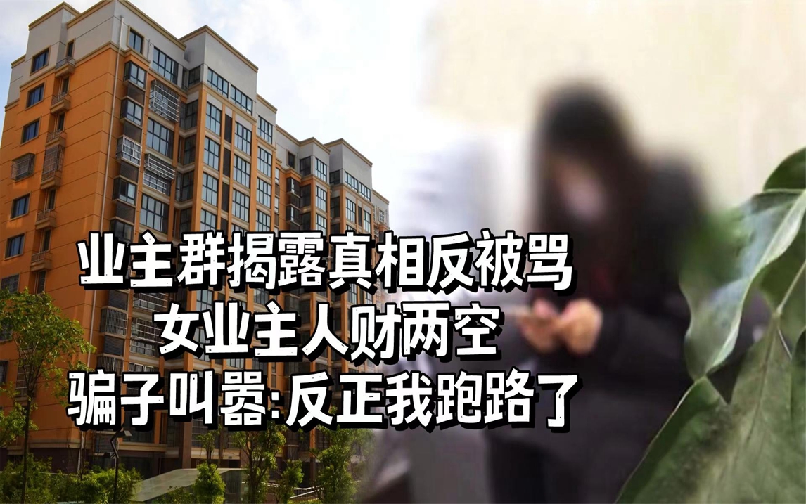 业主群揭露真相反被骂,女业主人财两空,骗子叫嚣:反正我跑路了