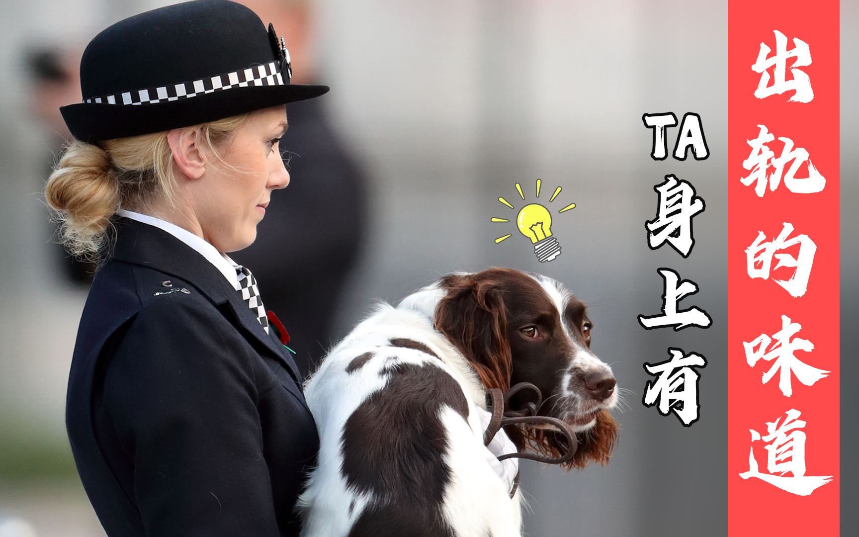 警犬史宾格:你身上有出轨的味道!OMG,分手吧!
