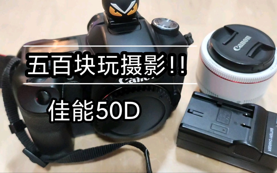 [佳能50D]五百玩摄影!老机皇尚能饭否?性价比神机!