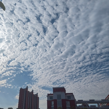 烈火烹油祝今朝 