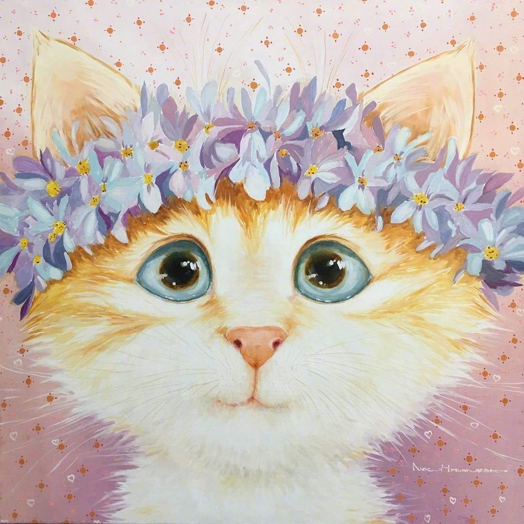爱喝茶的刀刀猫 