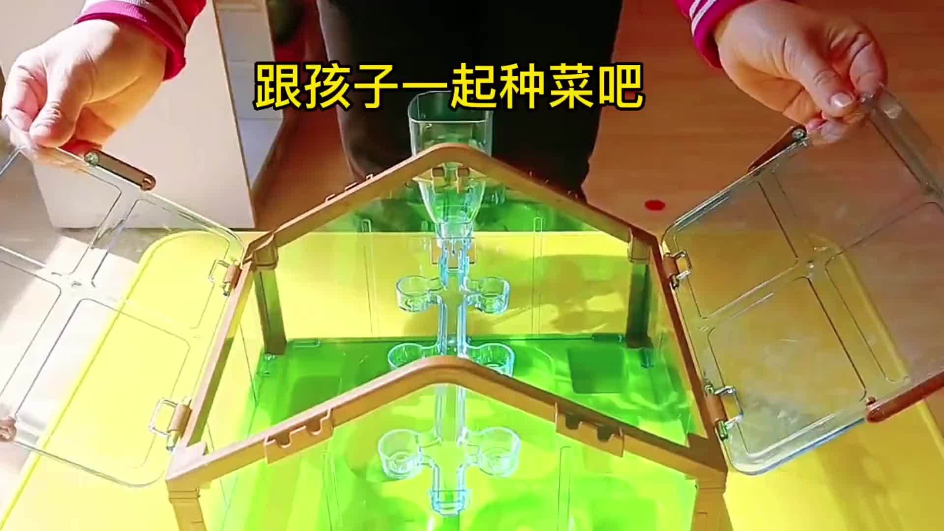 跟孩子一起种菜吧,亲手播种,让孩子近距离观察植物的生长过程