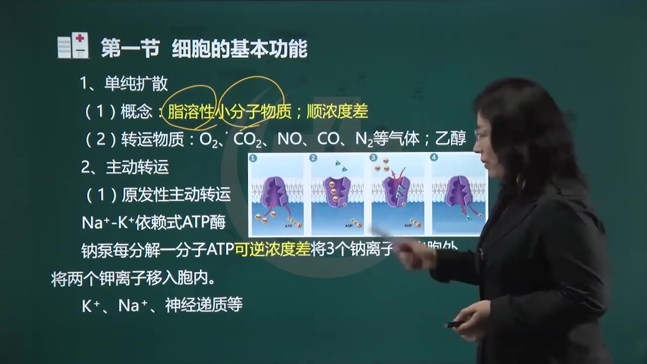 2023最新版 主管药师职称 主管西药师 基础知识 老师精讲完整版