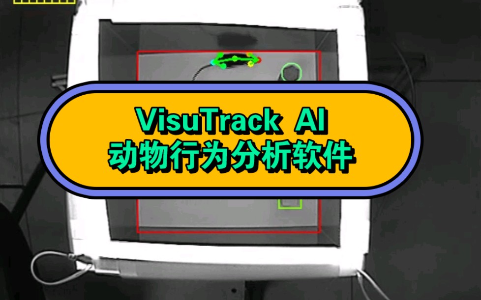 小鼠旷场实验,好软件好结果!VisuTrack AI 软件跟踪算法更新不止一“...