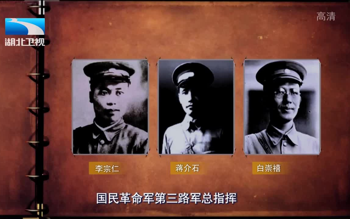 《大揭秘》 蒋介石恩仇录【16集全】