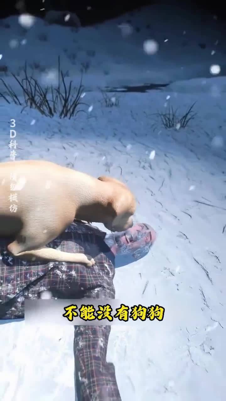 世界不能没有狗狗,它们甚至能挽救你的小命