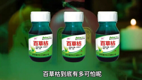 百草枯到底有多可怕?至今为止还无药可救