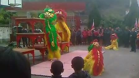 永春县过年精彩的舞狮表演,围观的群众一直叫好!