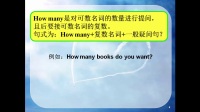 初中_英语_how many和how much的用法