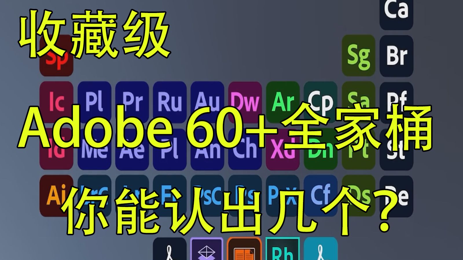 【中文配音】Adobe全家桶大揭秘!60+款软件到底哪个干啥的?99%的...