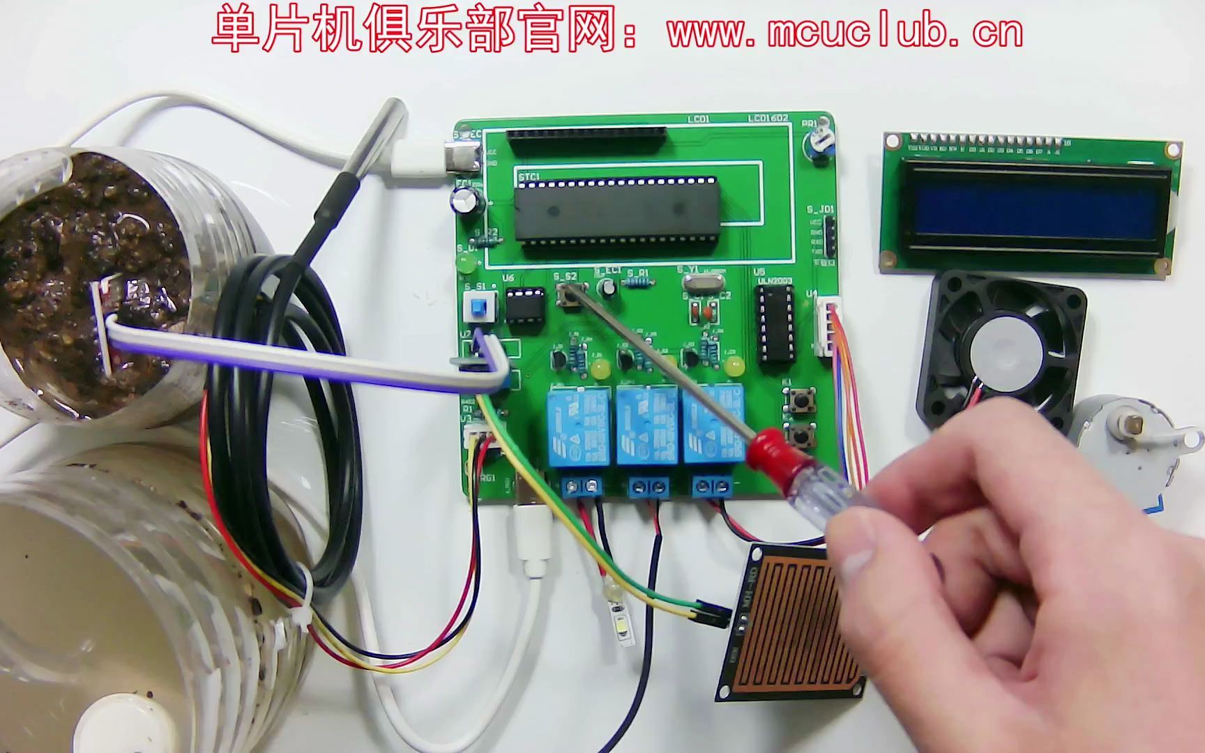 【单片机毕业设计】智能花盆 | 多功能花盆 | 智能养殖箱 | 多功能养殖箱