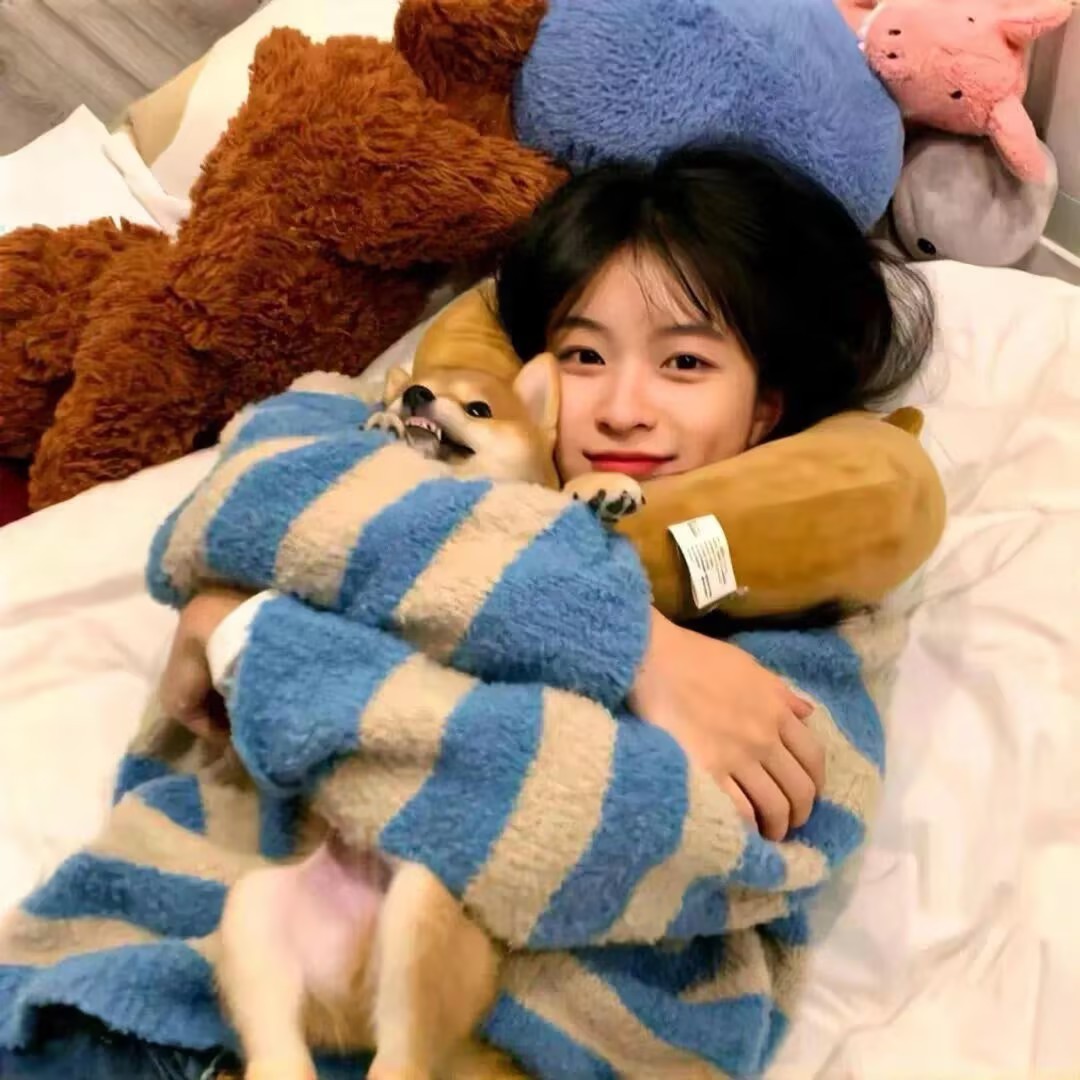 Pr剪辑特效师 