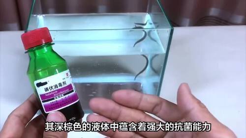 关于碘伏,你不知道的小知识,日常生活中,我们还可以这么用