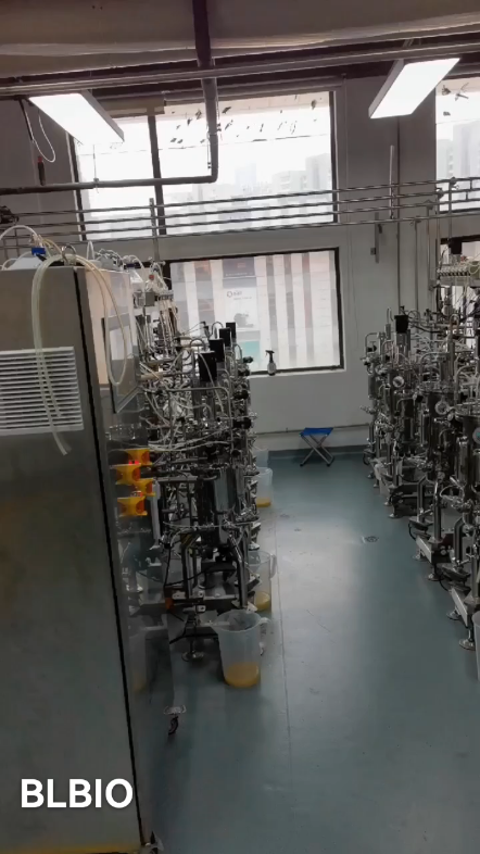 百仑64套代谢流分析全自动平行生物反应器稳定运行中,适合菌种筛选...