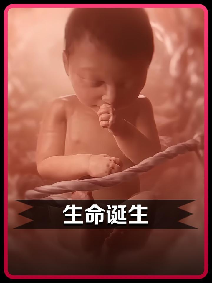 生命诞生的全过程,小蝌蚪是如何变成婴儿的 #动画 #涨知识 #生命科学 ...