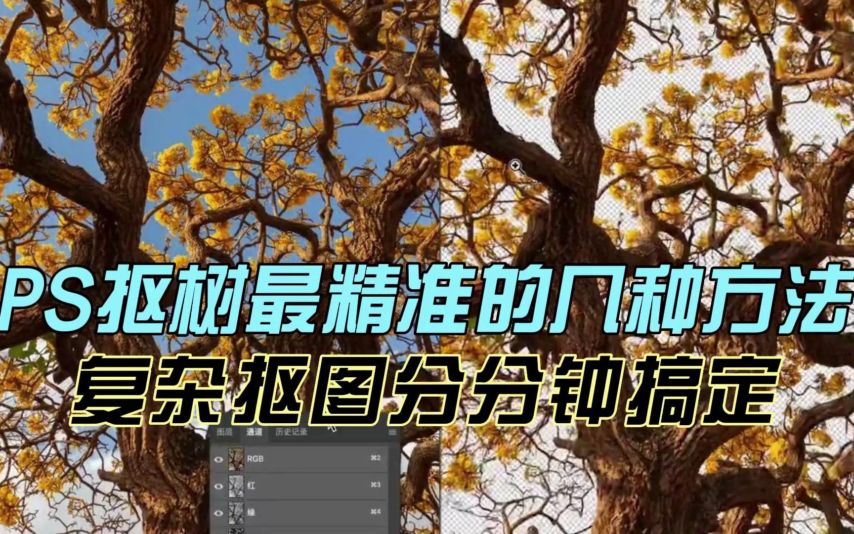 【PS教程】ps抠树的最精准的几种方法-复杂抠图分分钟搞定 ps抠图/...