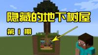 我的世界建筑教程——如何在树下建一个秘密基地【隐藏基地系列01】