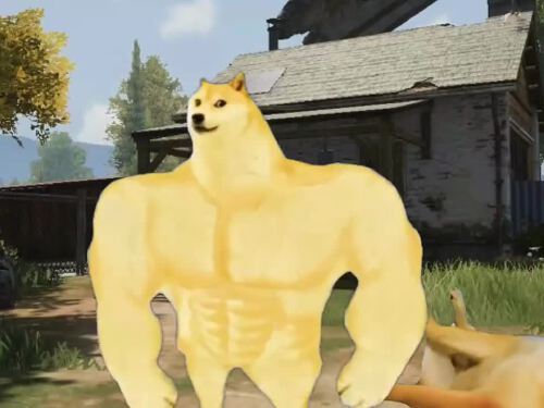 游戏作弊真相揭秘:随意修改数据背后的惊人后果