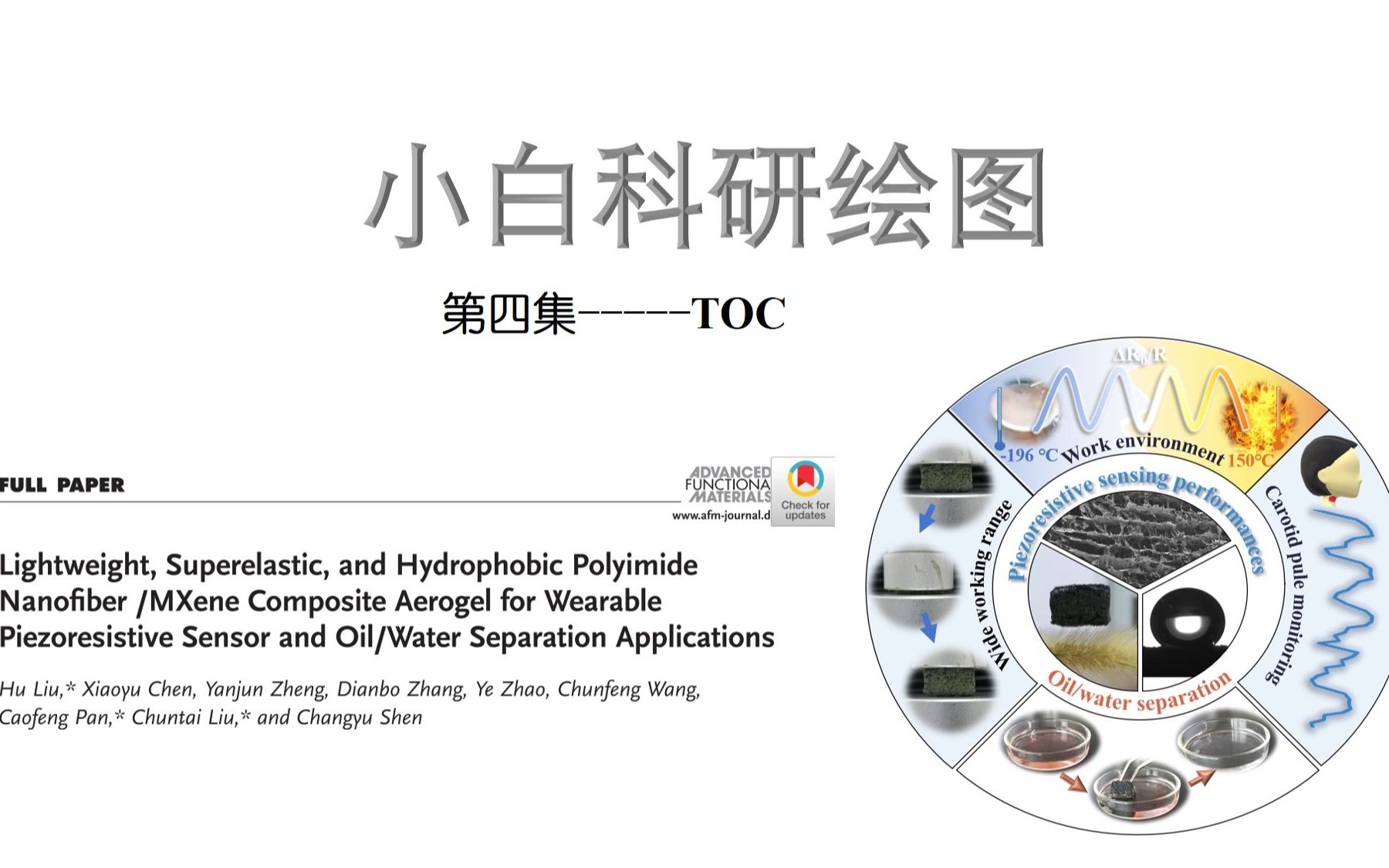 PPT科研绘图-环形toc
